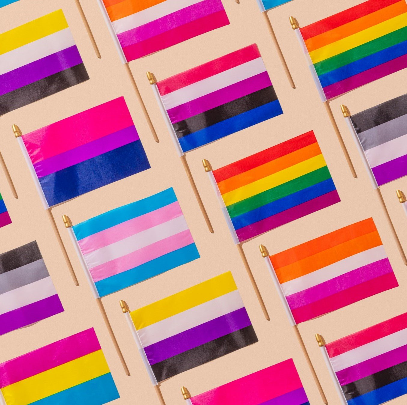 Get To Know The 12 Main Pride Flags– AntiRue